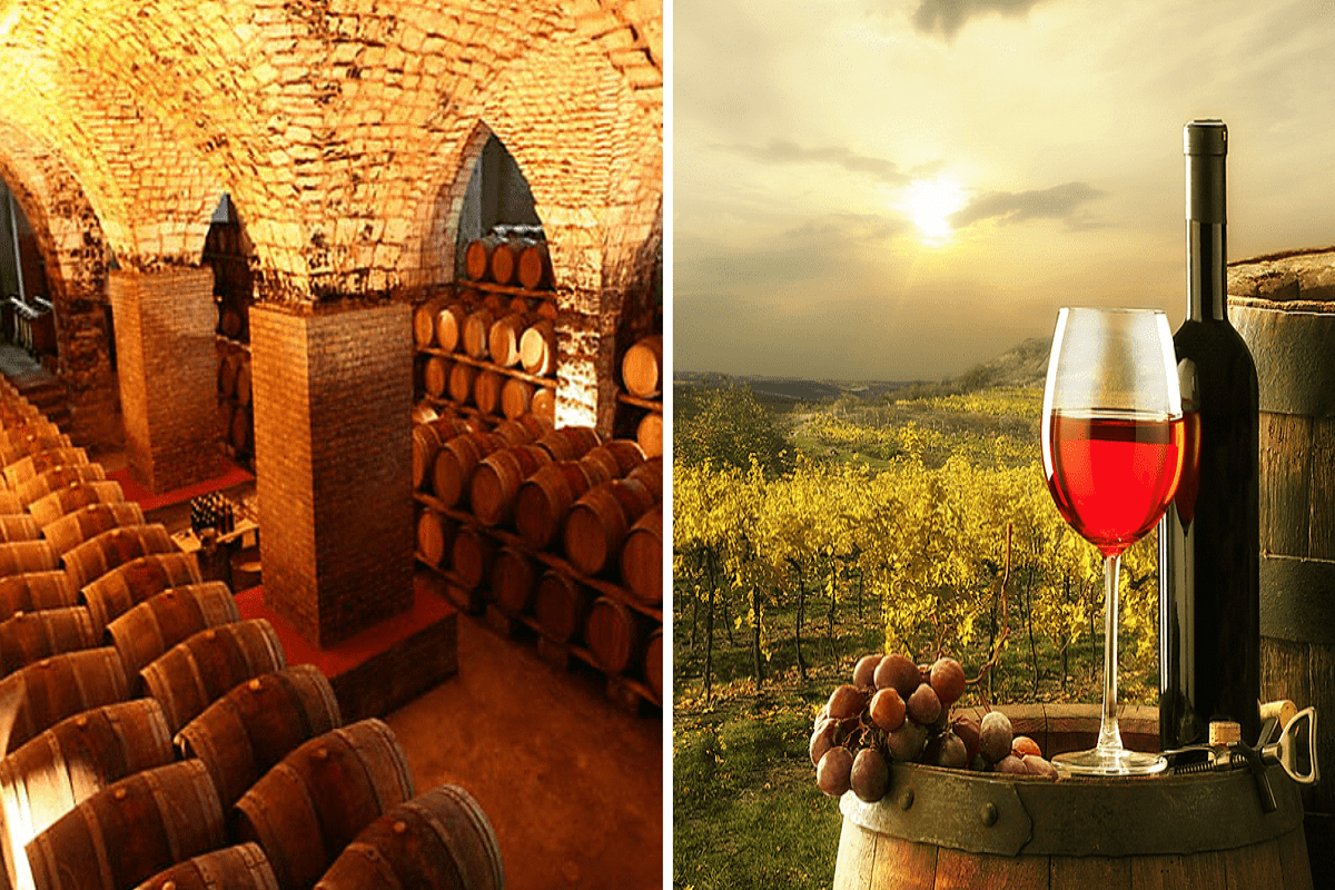 From Ancient Vines to Modern Wines: A Journey Through History and Cult ...
